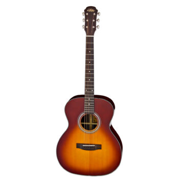 200 SERIES Archives - Aria Guitars - Electric, Acoustic, Classical ...