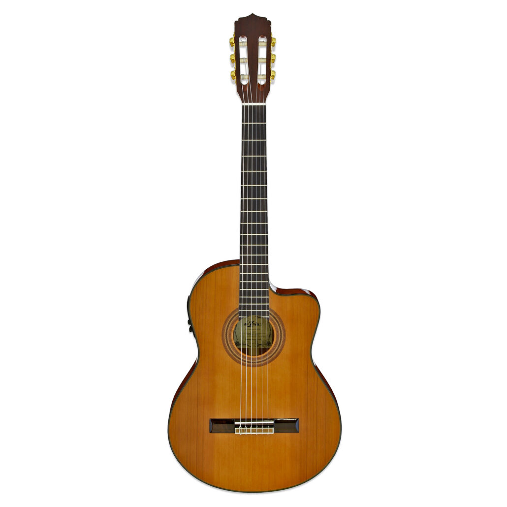 A SERIES Archives - Aria Guitars - Electric, Acoustic, Classical ...