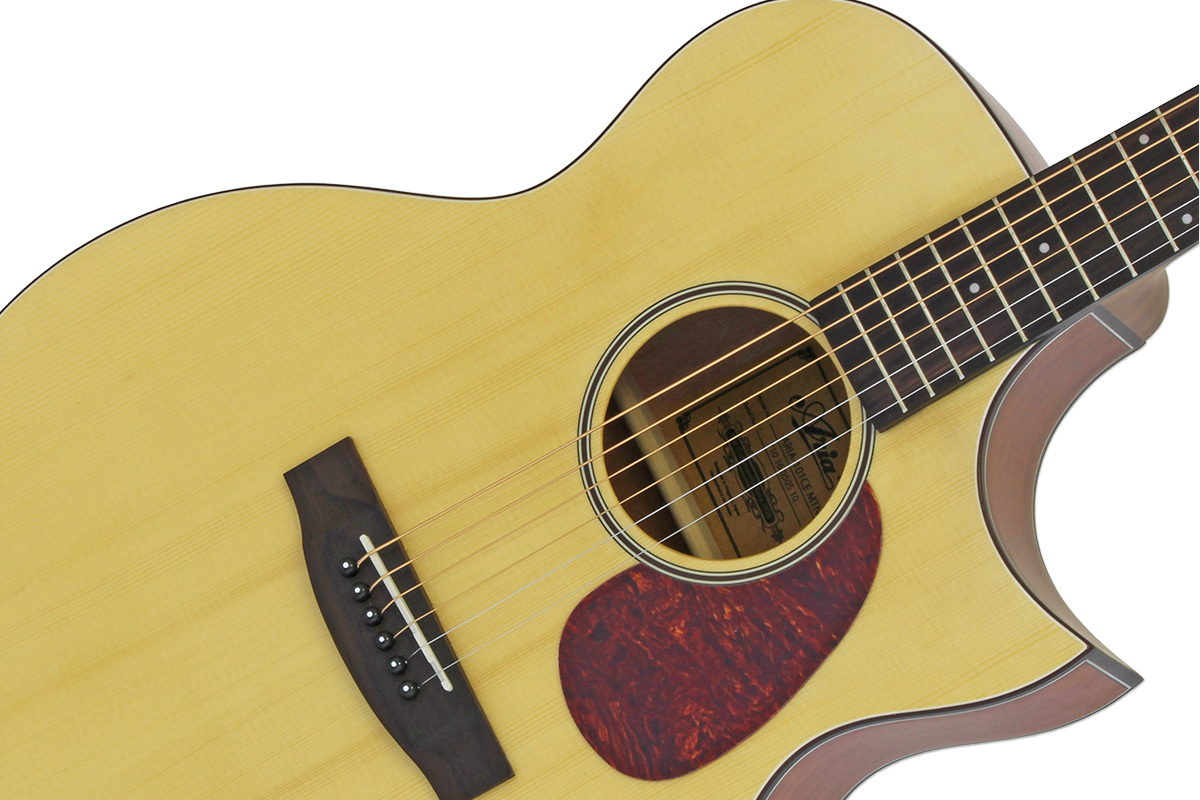 ARIA-101CE - Aria Guitars - Electric, Acoustic, Classical Guitars and Bass