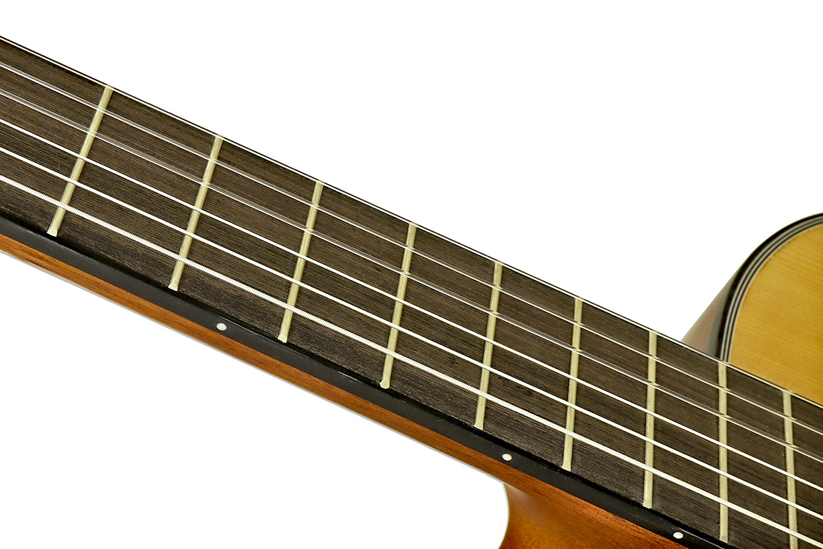 A-10CE - Aria Guitars - Electric, Acoustic, Classical Guitars and Bass