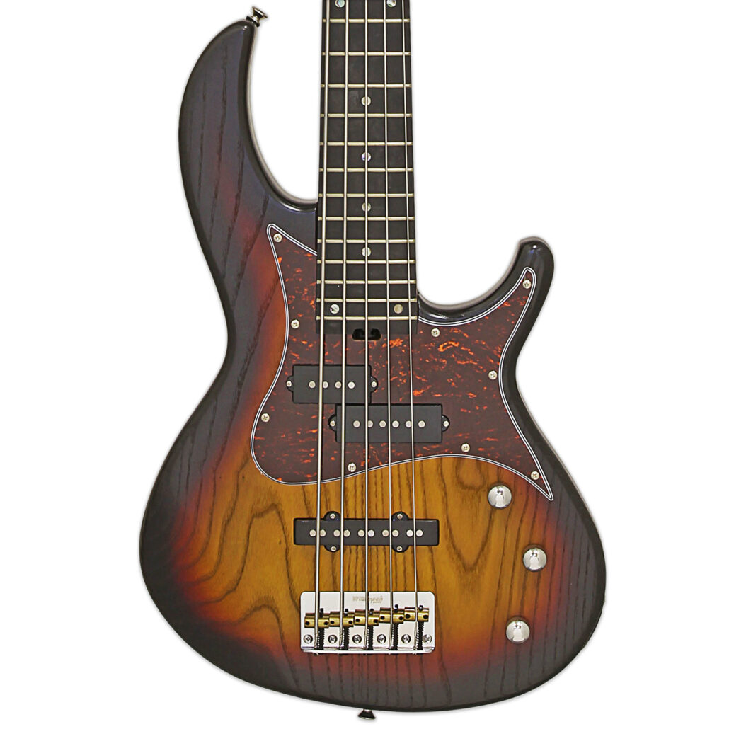 Aria Pro II - Aria Guitars - Electric, Acoustic, Classical Guitars and Bass