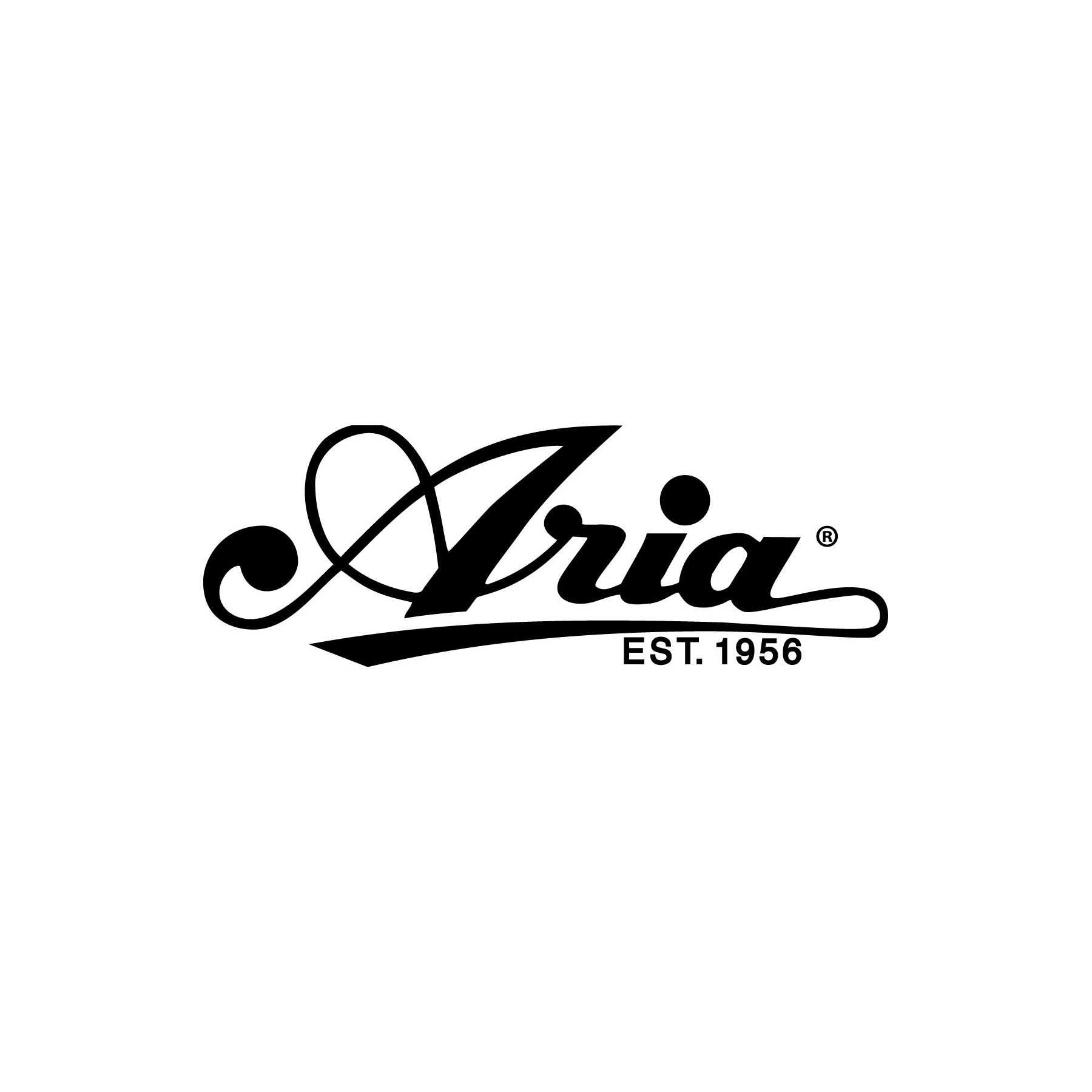 BUYER WARNING! "IMPORTANT" - Aria Guitars - Electric, Acoustic ...